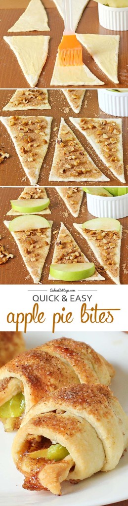 Easy Apple Pie Bites - Cakescottage