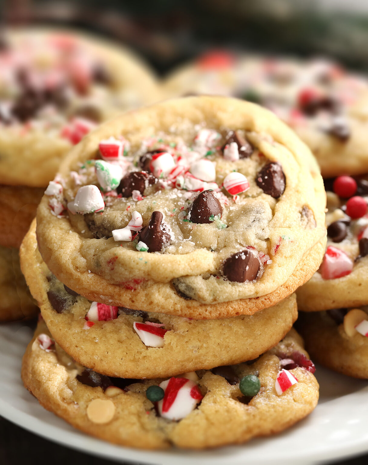 Winter Wonderland Chocolate Christmas Cookies - Festive Cookies